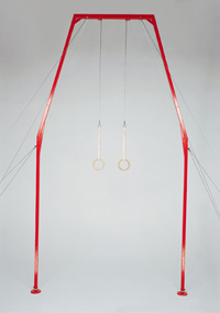 The American Gym: Gymnastics, Rings
